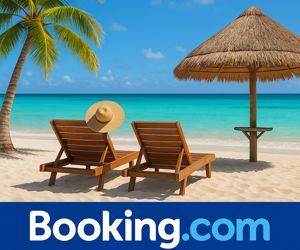 Live Rail Webcam Griffith Interlocking Tower, Iniana, USA