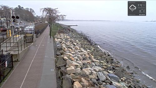 BorderBuddy & Charlie Don't Surf Webcam White Rock, BC, Canada