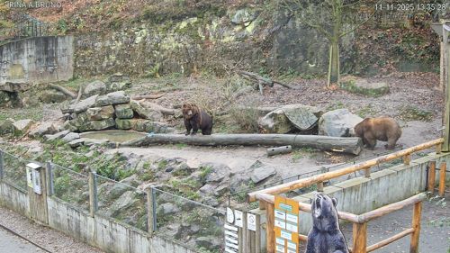 World Zoo and safari Live Streaming Webcams