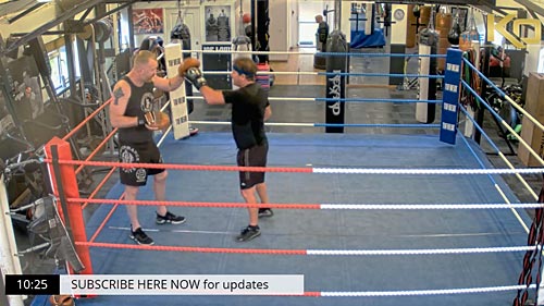 Live Stream Webcams in Iceland