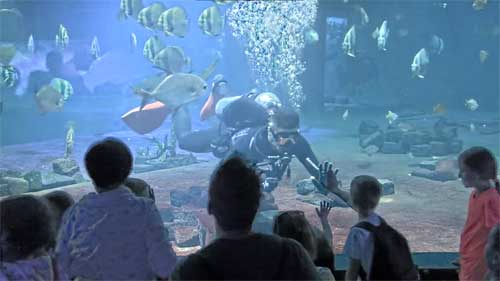 Gellért Hill and Danube River Live HD Webcam, Budapest