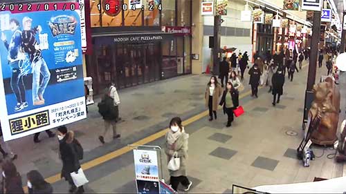 Japan Live Webcams