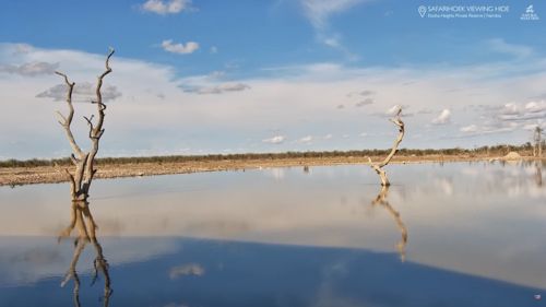 Namibia Country Live Webcams