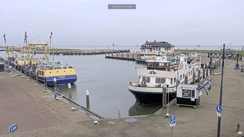 Live Stream Cameras From Ireland
