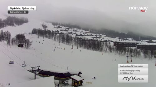 Live Webcam of Alexandria Bay Docks, New York, USA