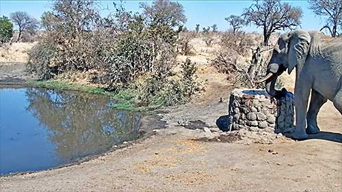 Naledi Dam Live Webcam, Greater Kruger, Limpopo, South Africa