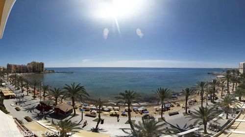 Live Keeper Bar HD webcam in Torrevieja, Alicante, Spain