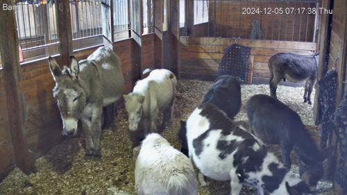 Live Rail Webcam Griffith Interlocking Tower, Iniana, USA