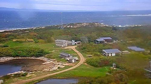 HD Live Webcam Streaming on Appledore Island, USA