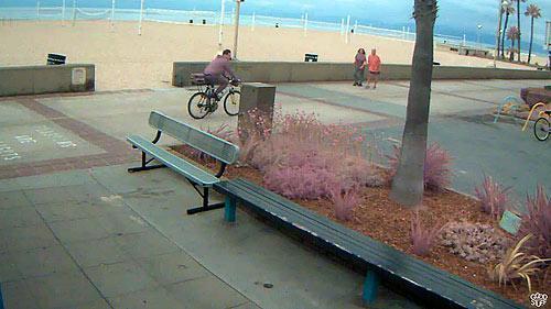 California Live Streaming HD Webcams, USA