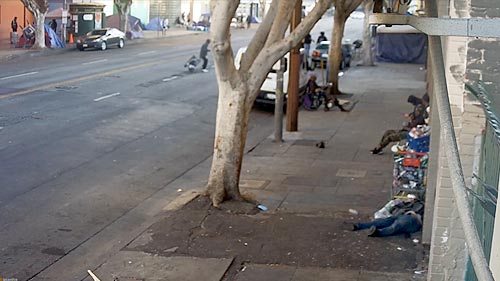 California Live Streaming HD Webcams, USA
