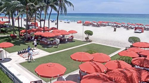 Live Beachcomber Restaurant Webcam St. Augustine, FL, USA