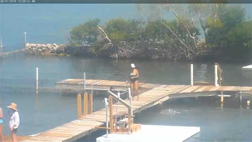 Live Underwater Webcam Lower Florida Keys, FL, USA