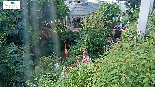 Sloppy Joe’s Stage Live stream Webcam, Key West, USA