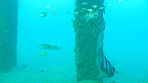 Live Acqualina Resort Beach Webcam in Sunny Isles Beach, Florida, USA