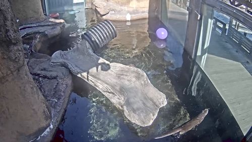 Live HD Webcam Champlain Marina, Colchester, VT, USA