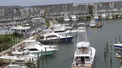 Coastal Salt Live Webcam Ocean City MD, USA