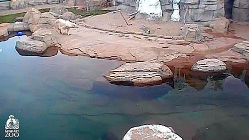 HD Live Stream Webcam in La Plata Station, USA