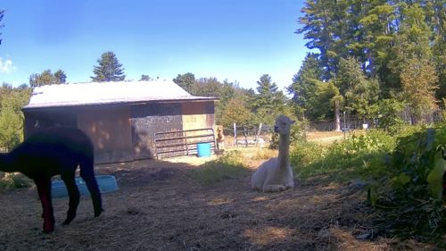 New Hampshire State Live Webcams, United States