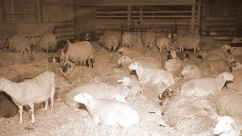 Live HD Streaming Cam in Times Square, New York