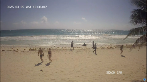 Live Tulum Beach Webcam in Quintana Roo, Mexico