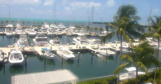 Live Underwater Webcam Lower Florida Keys, FL, USA