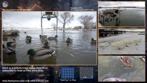 Live DashDucks Cameras in Salt Lake City metropolitan area, UT, USA